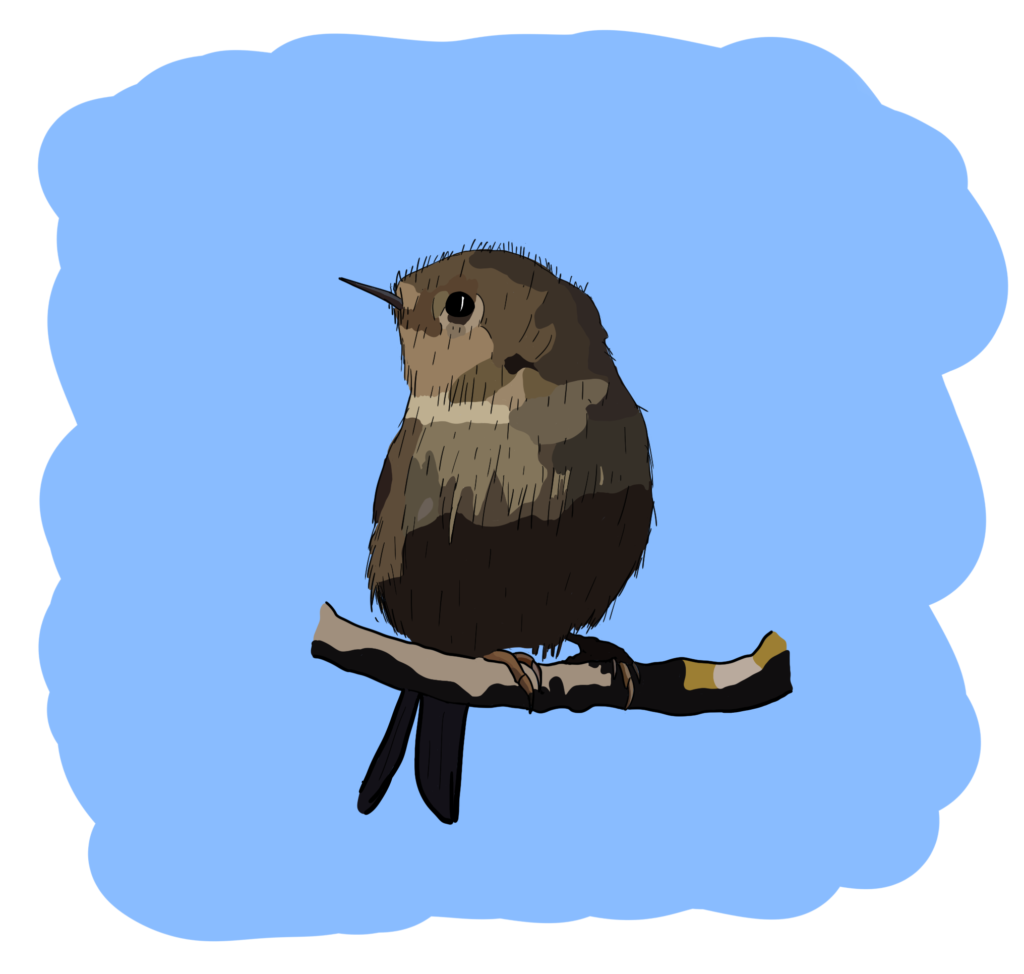 Bird art: Ruby-crowned kinglet – creolened.com